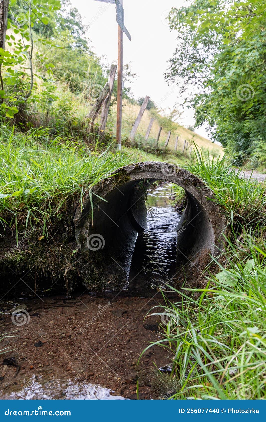 The Stream Runs through the Pipe Stock Photo - Image of environment ...