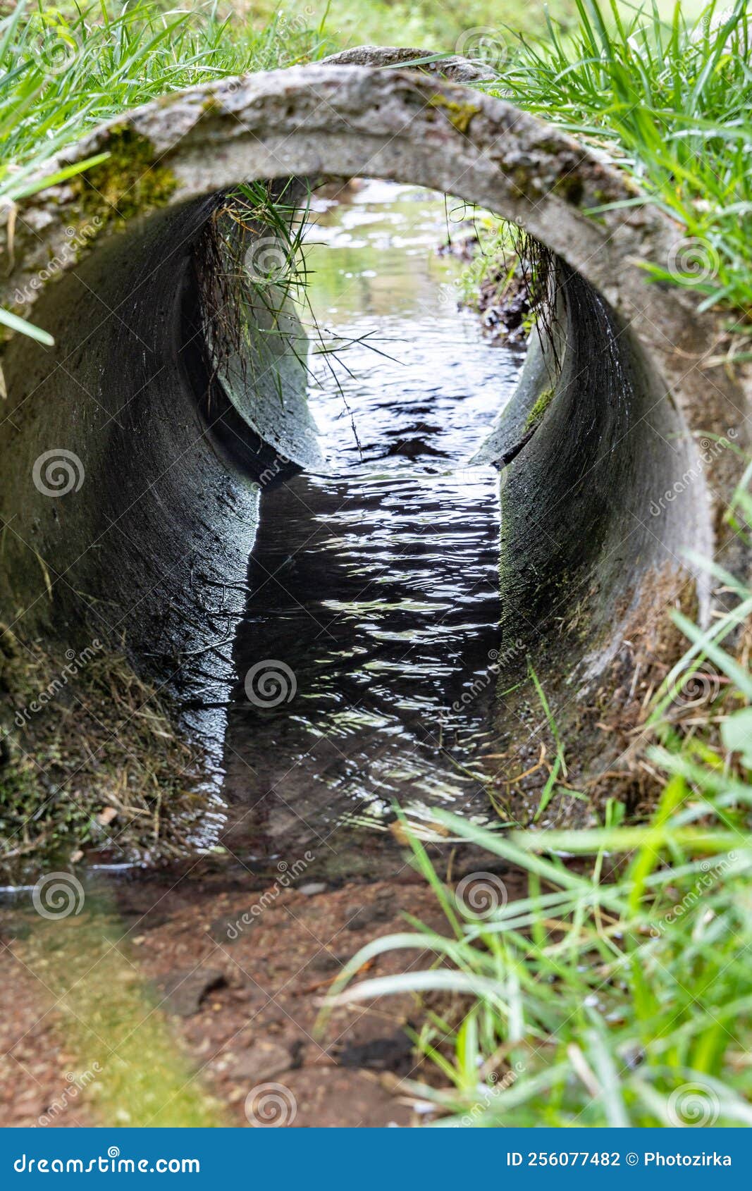 The Stream Runs through the Pipe Stock Photo - Image of rock, grass ...
