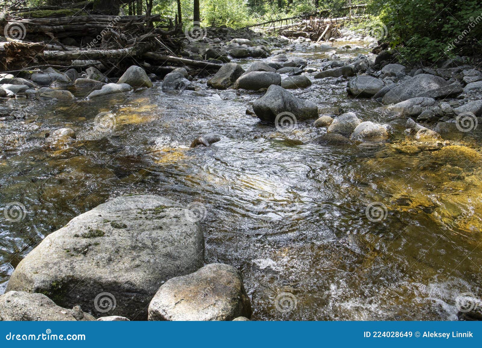 The Stream Runs in the Taiga Wilderness Stock Image - Image of ...