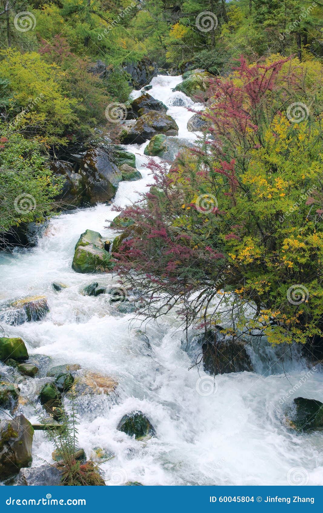 Stream scenery stock photo. Image of stone, scenery, canyon - 60045804