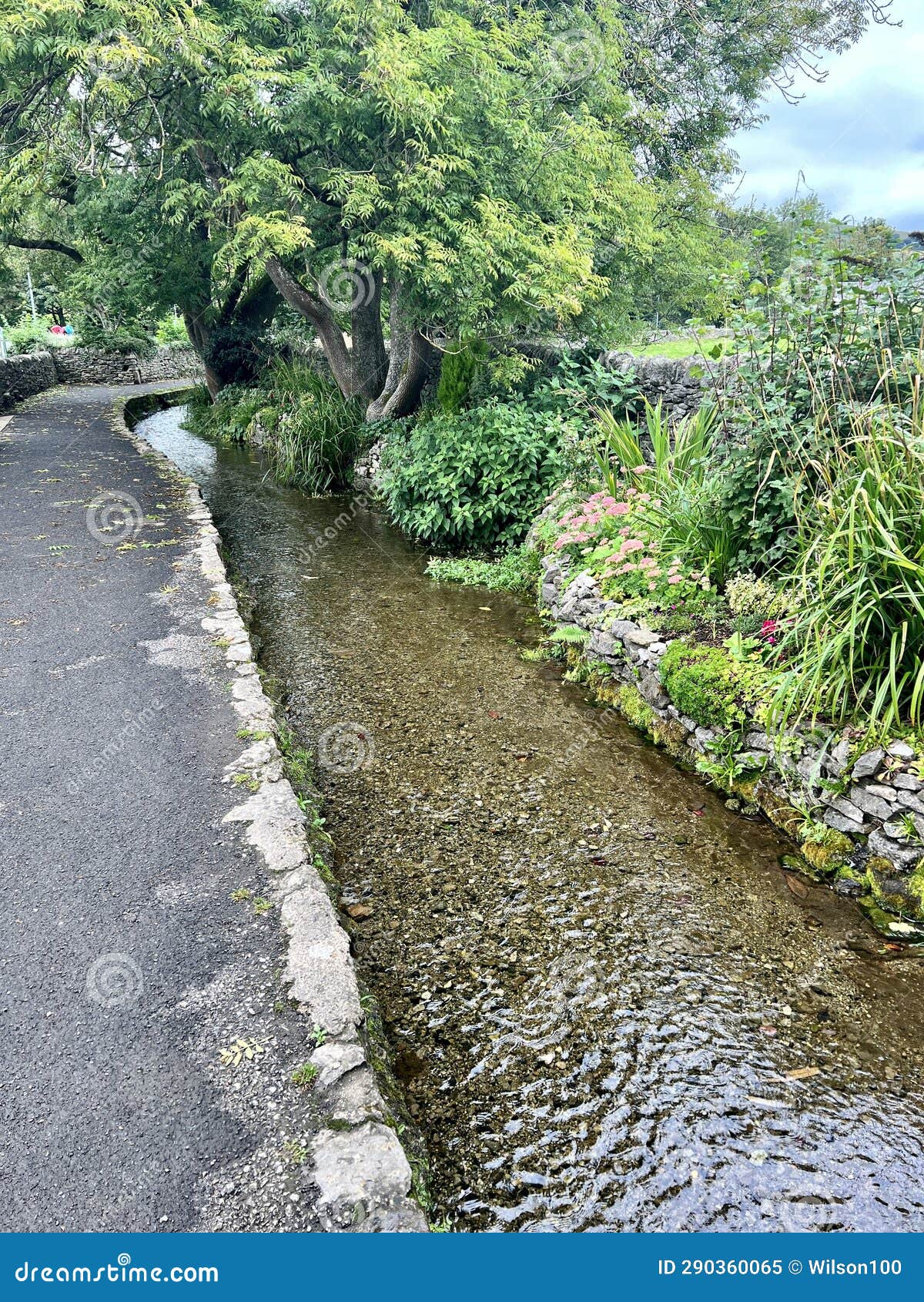 Stream stock image. Image of nature, water, natural - 290360065