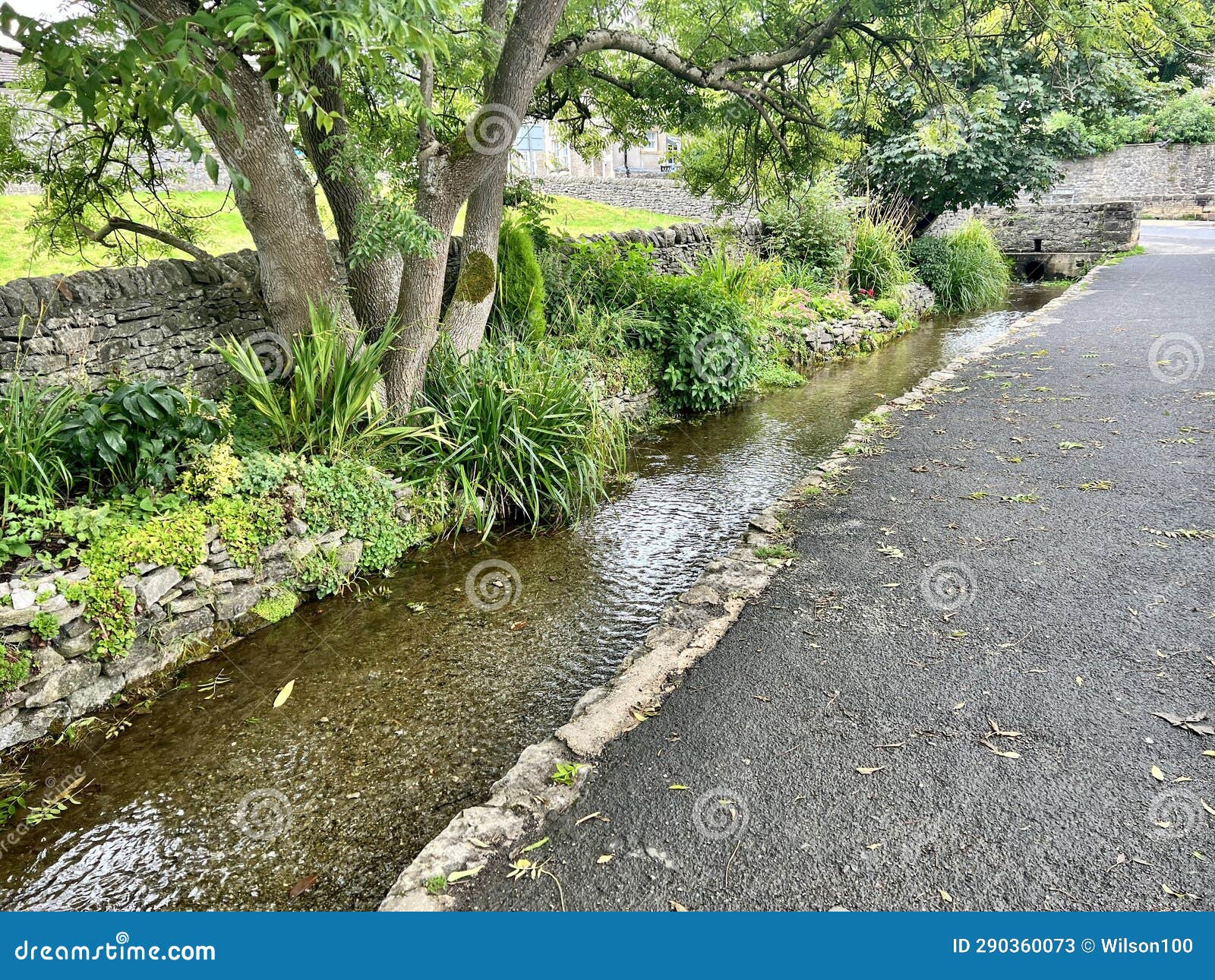 Stream stock image. Image of natural, waters, pathway - 290360073