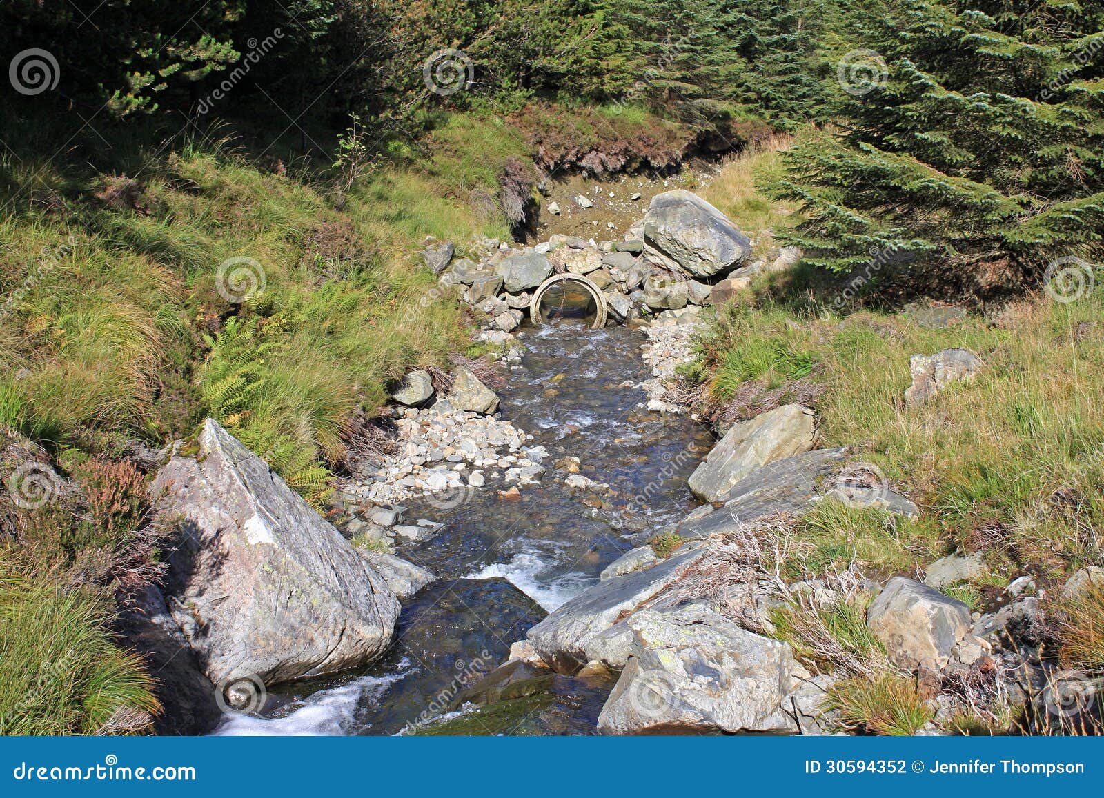 Stream in Scotland stock photo. Image of trees, stone - 30594352