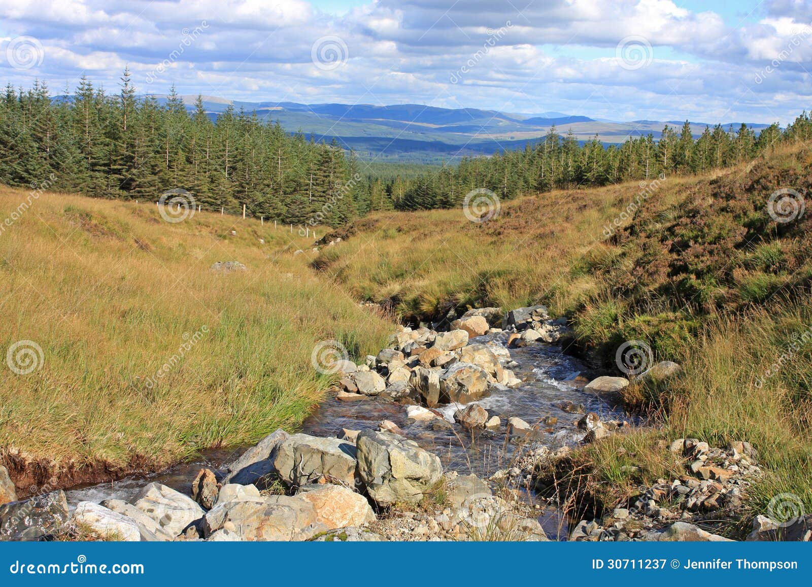 Stream in Scotland stock image. Image of wood, forest - 30711237