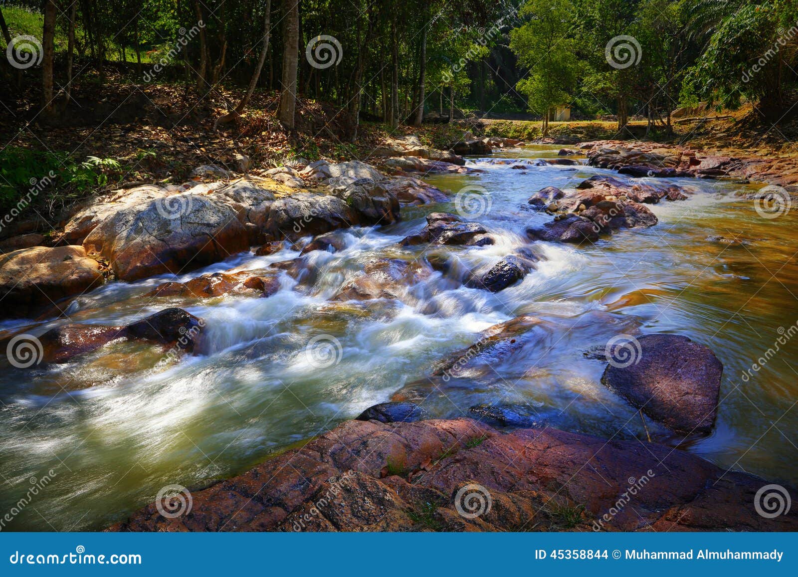 The stream stock photo. Image of water, shot, stream - 45358844