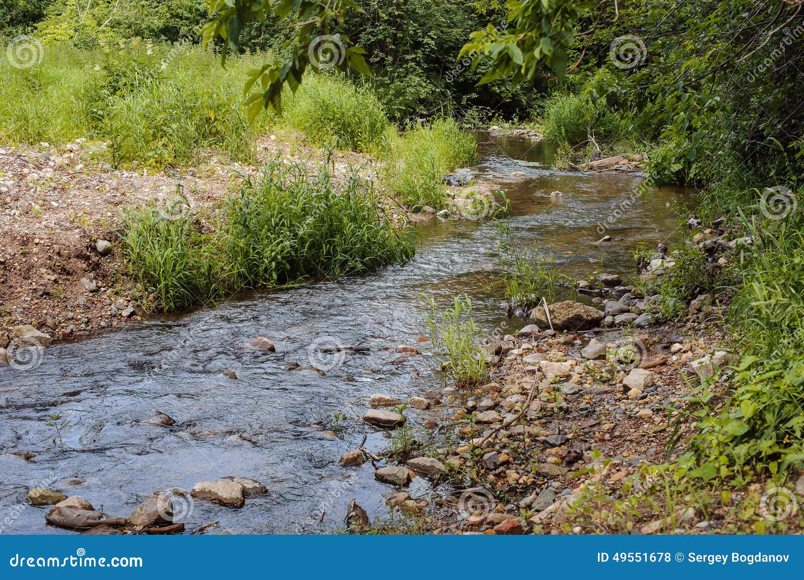 Stream stock photo. Image of nature, rock, leaf, flow - 49551678