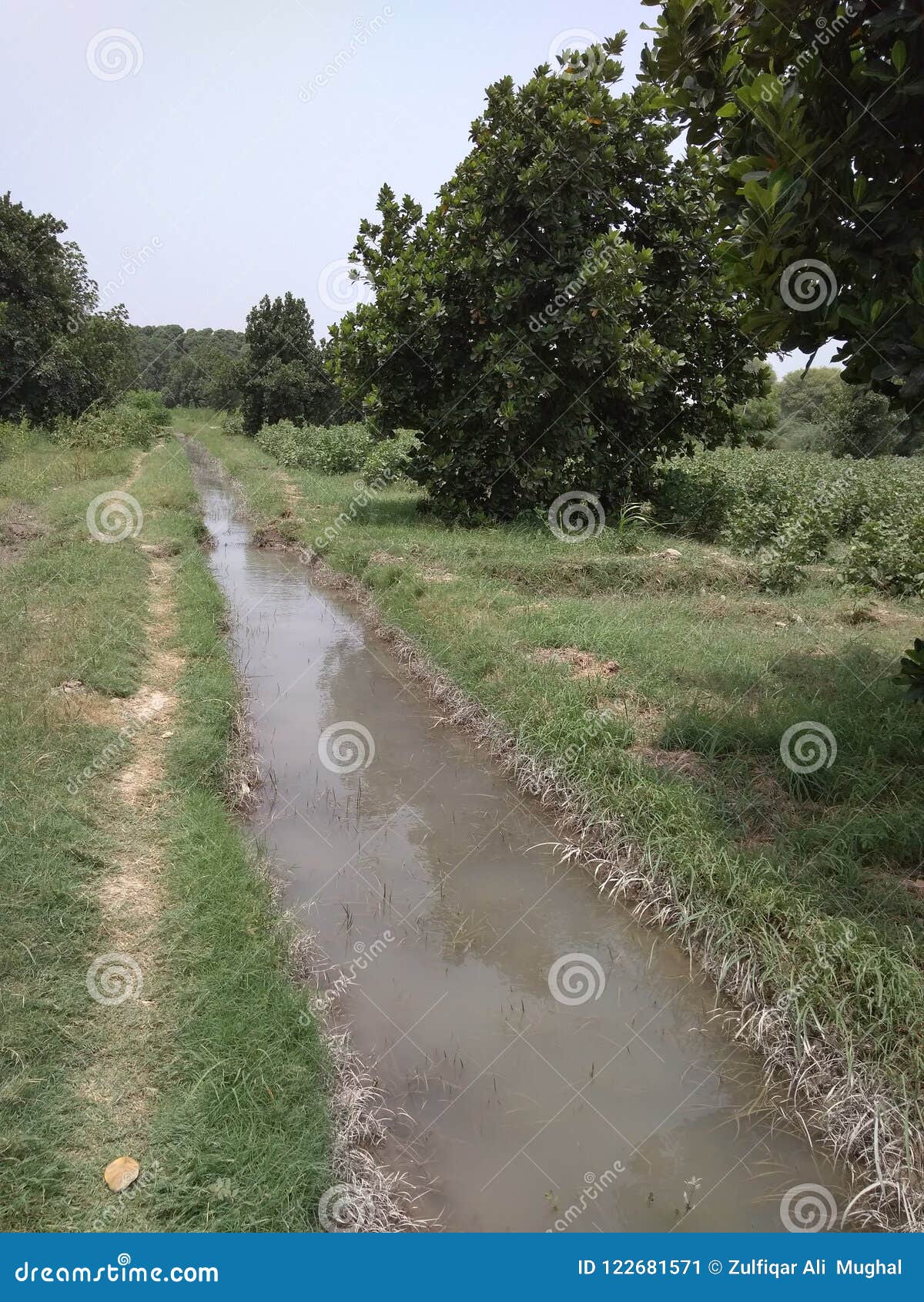 A stream stock image. Image of stream, fields, farm - 122681571