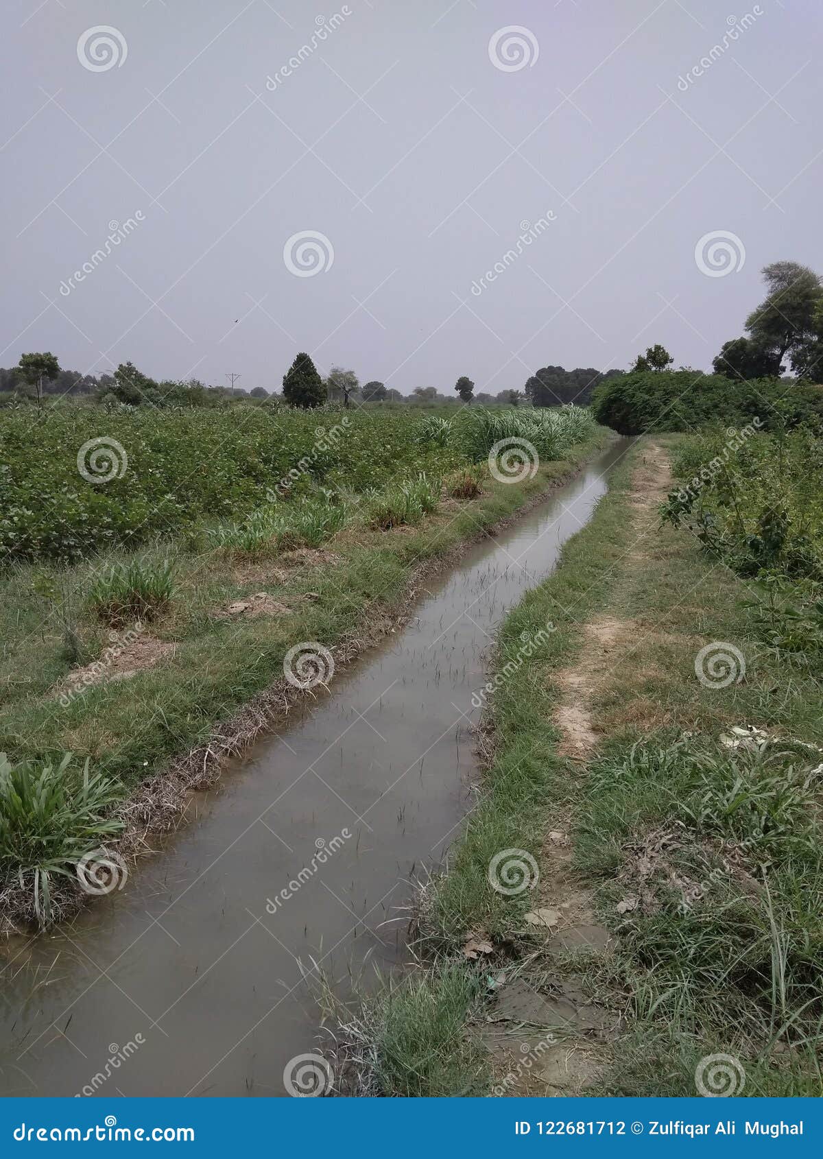 A stream stock photo. Image of farm, stream, small, fields - 122681712