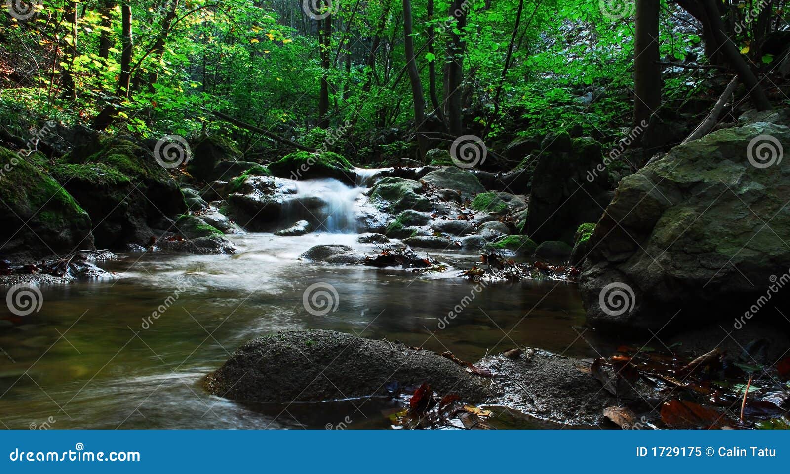 Stream with Small Waterfalls Stock Image - Image of woods, stones: 1729175