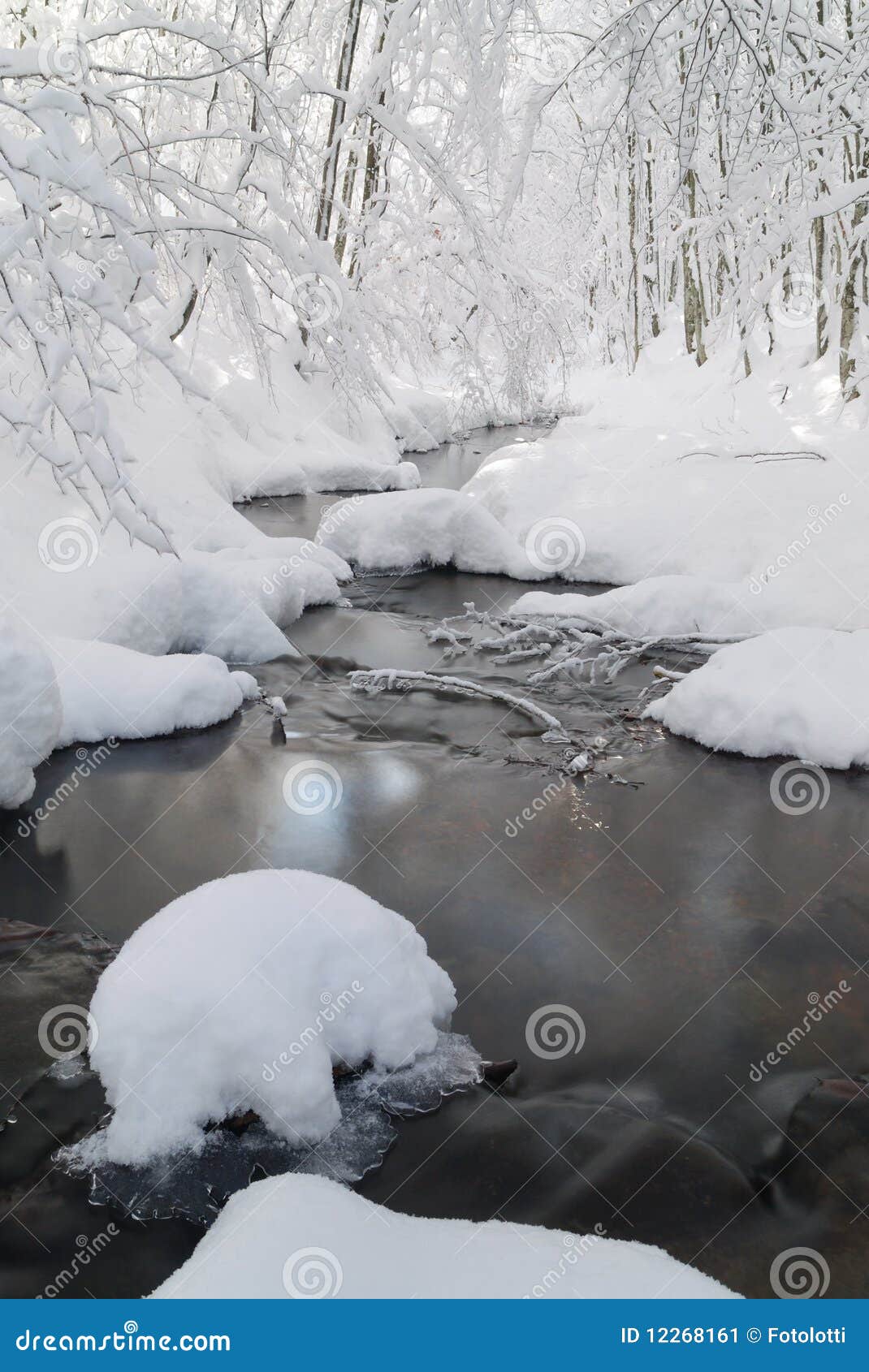 Stream snow stock image. Image of water, paradise, winter - 12268161