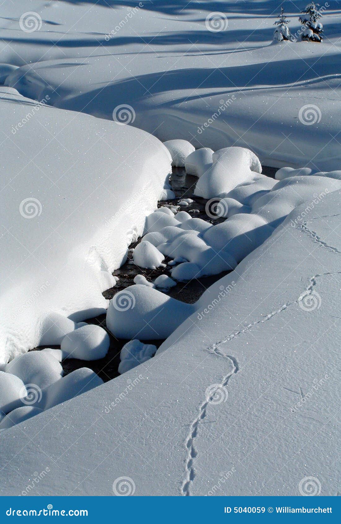 Stream in Snow stock image. Image of bright, tracks, river - 5040059
