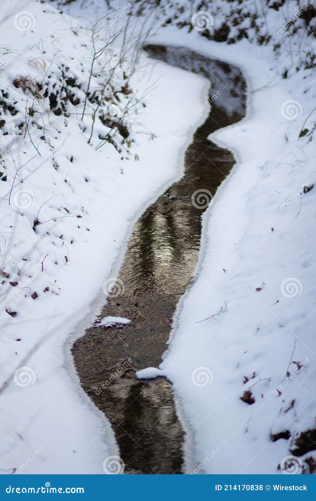 A stream in the snow stock photo. Image of show, park - 214170838