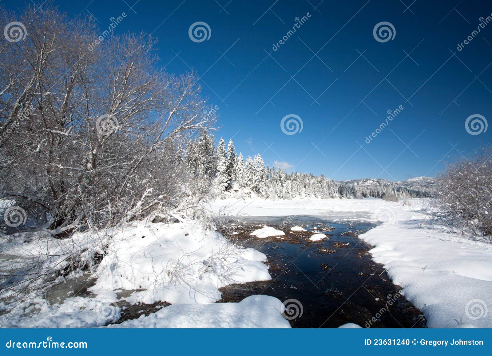 Stream in snowy field. stock photo. Image of country - 23631240