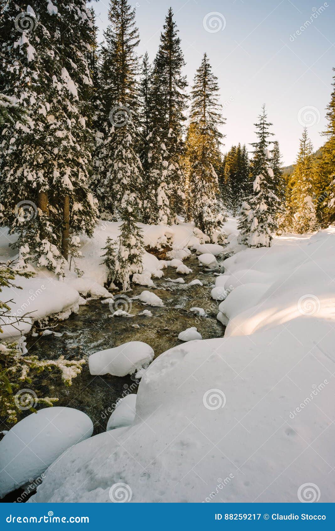 Stream in a snowy forest stock image. Image of view, rime - 88259217