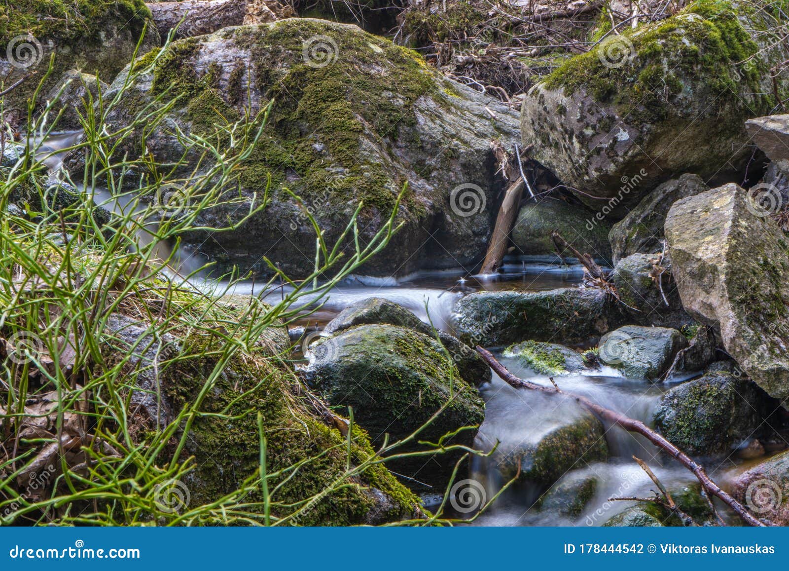 The Stream in the Spring. Photo of Scandinavian Nature Stock Photo ...