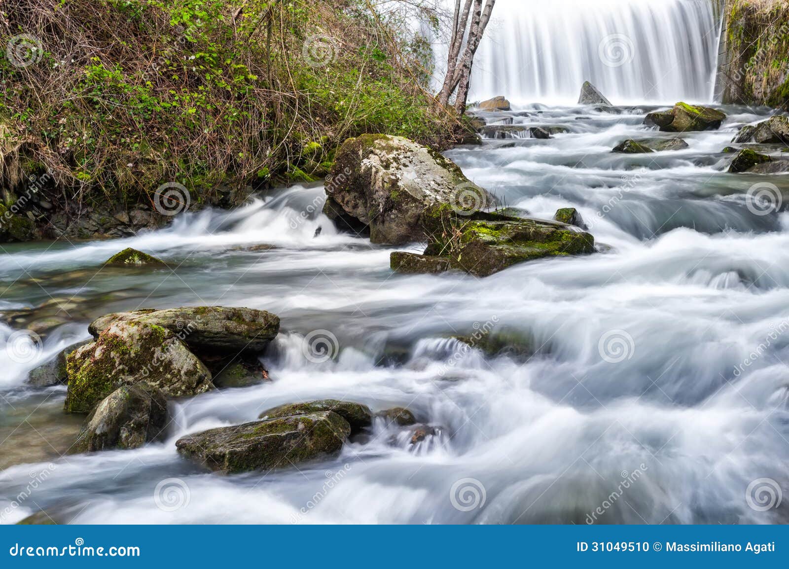 Stream at spring stock photo. Image of forest, flow, season - 31049510