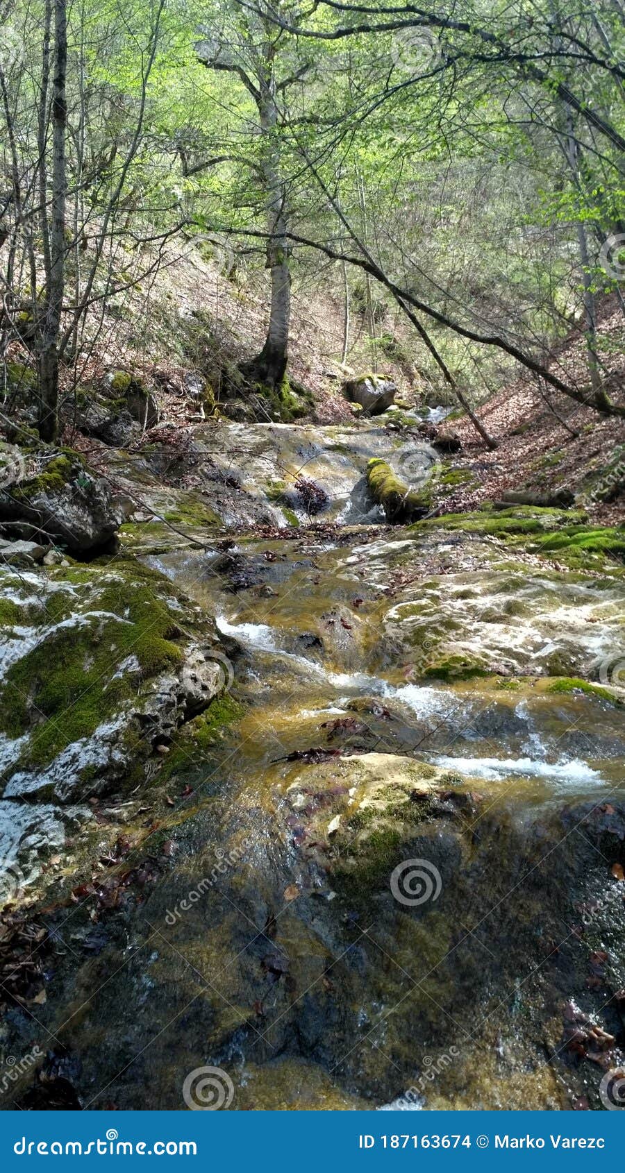 Stream in spring stock photo. Image of trail, water - 187163674