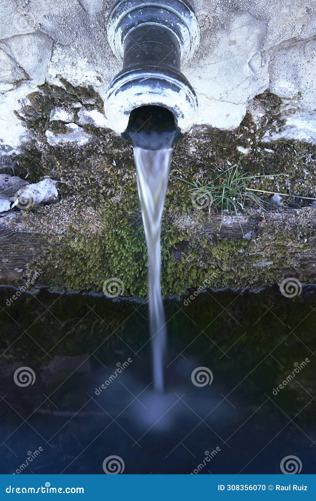 A Stream of Spring Water in a Mountain Forest Stock Photo - Image of ...