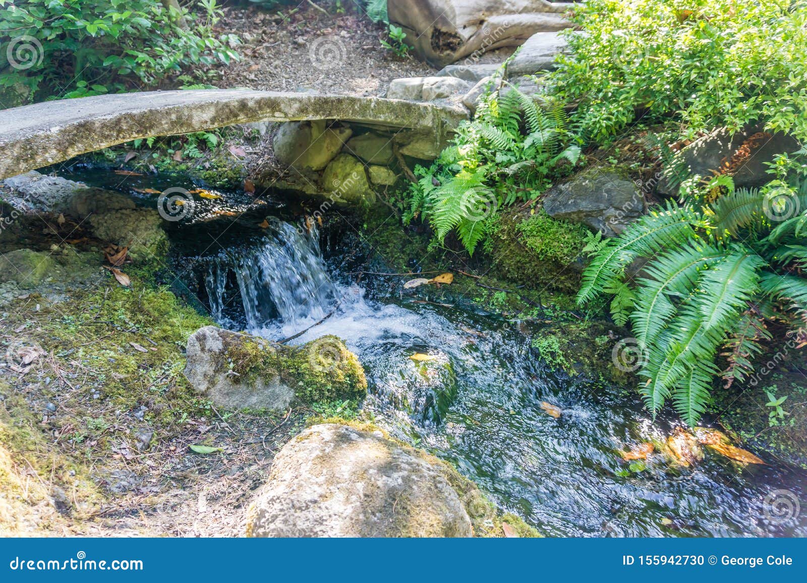 Stream and Stone Bridge stock photo. Image of flowing - 155942730