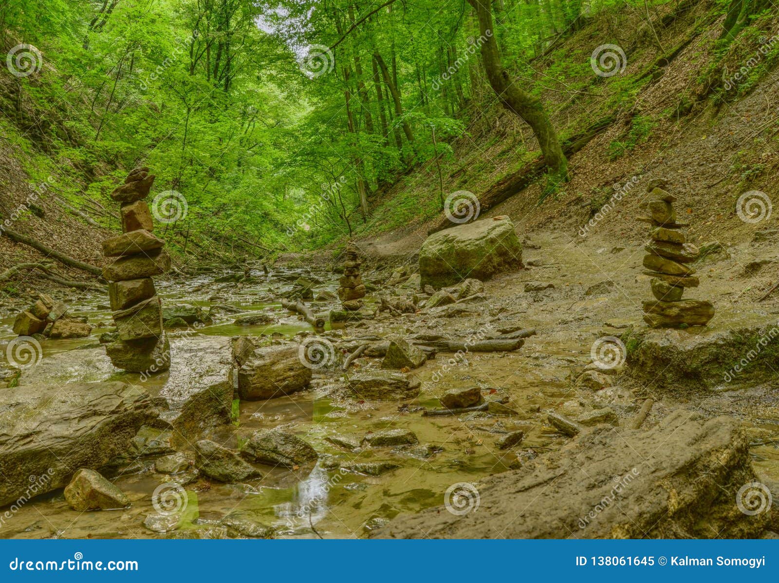 Stream and a Stone Tower in a Forest Stock Image - Image of beautiful ...