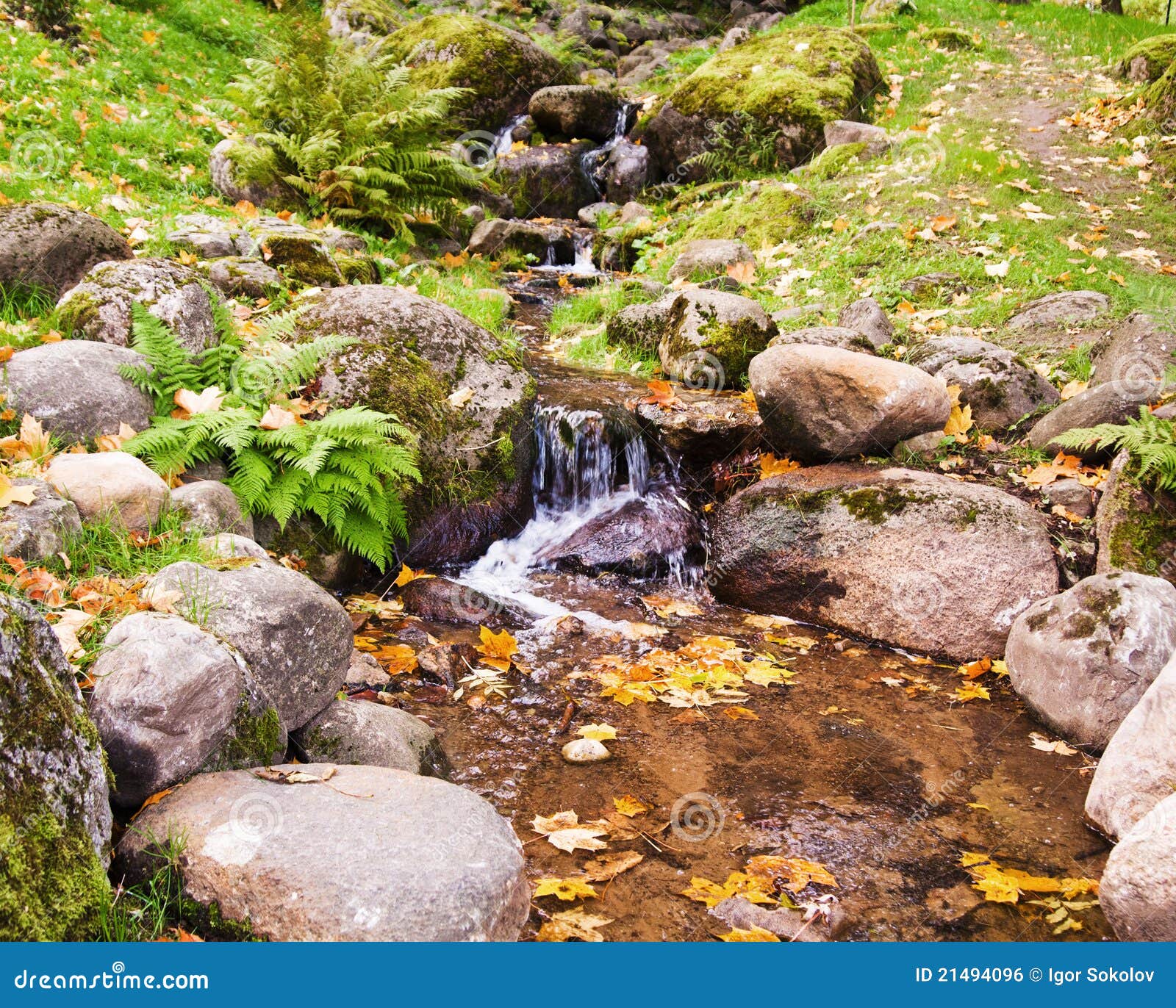 Stream among stones stock photo. Image of clean, landscape - 21494096