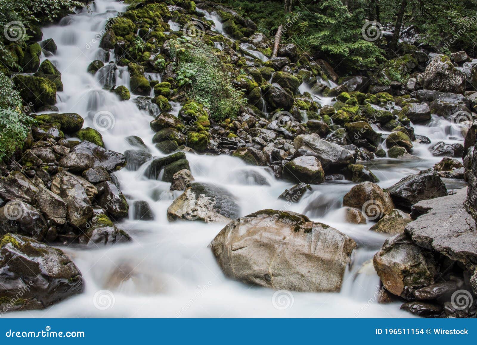Stream with Stones in a Forest Stock Photo - Image of river, moss ...