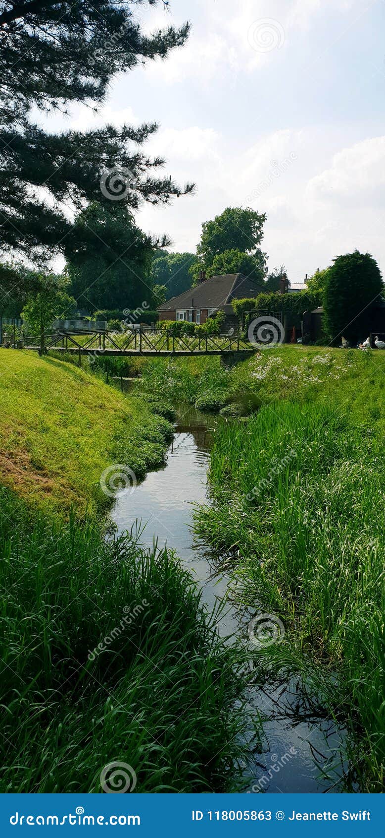Stream stock image. Image of bridge, countryside, grass - 118005863