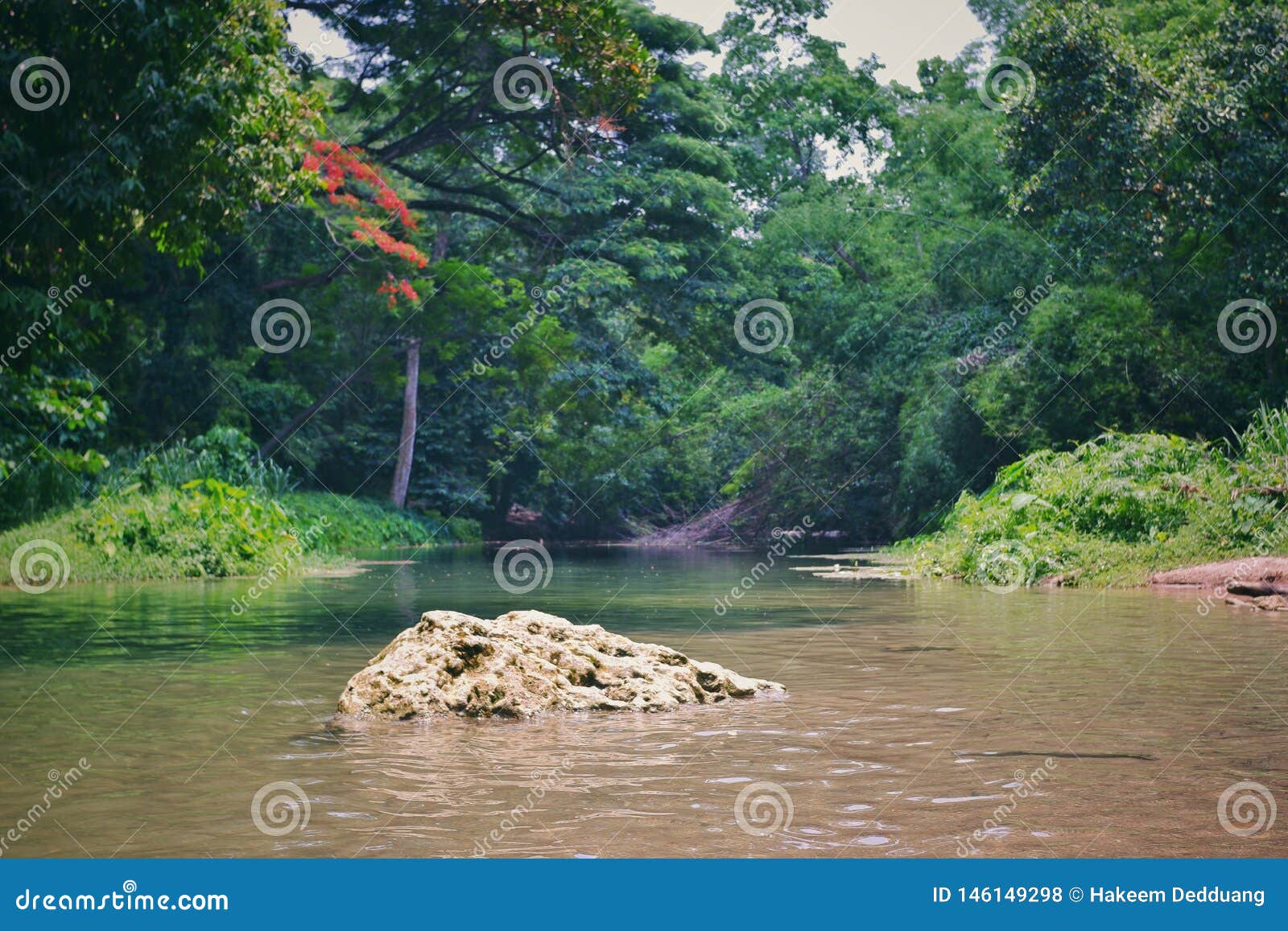 Stream stock photo. Image of stream, waterfalls, natural - 146149298