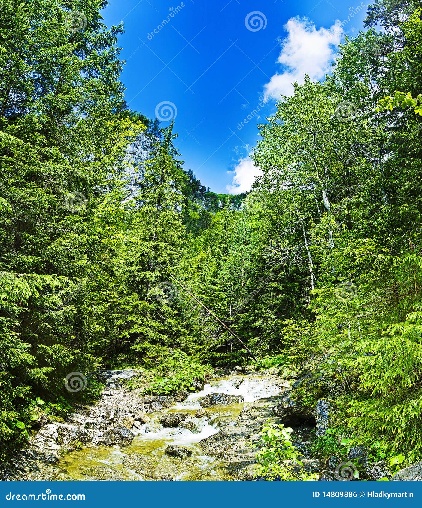 Stream throught valley stock photo. Image of flow, mountains - 14809886