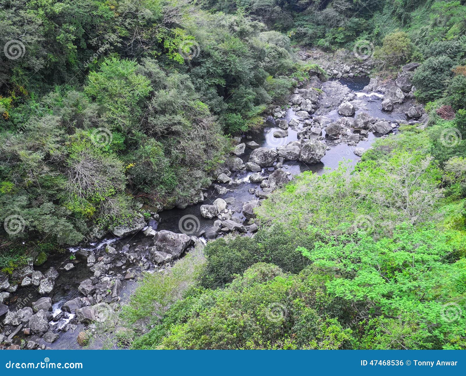 Stream stock photo. Image of jungle, fresh, rocky, tree - 47468536