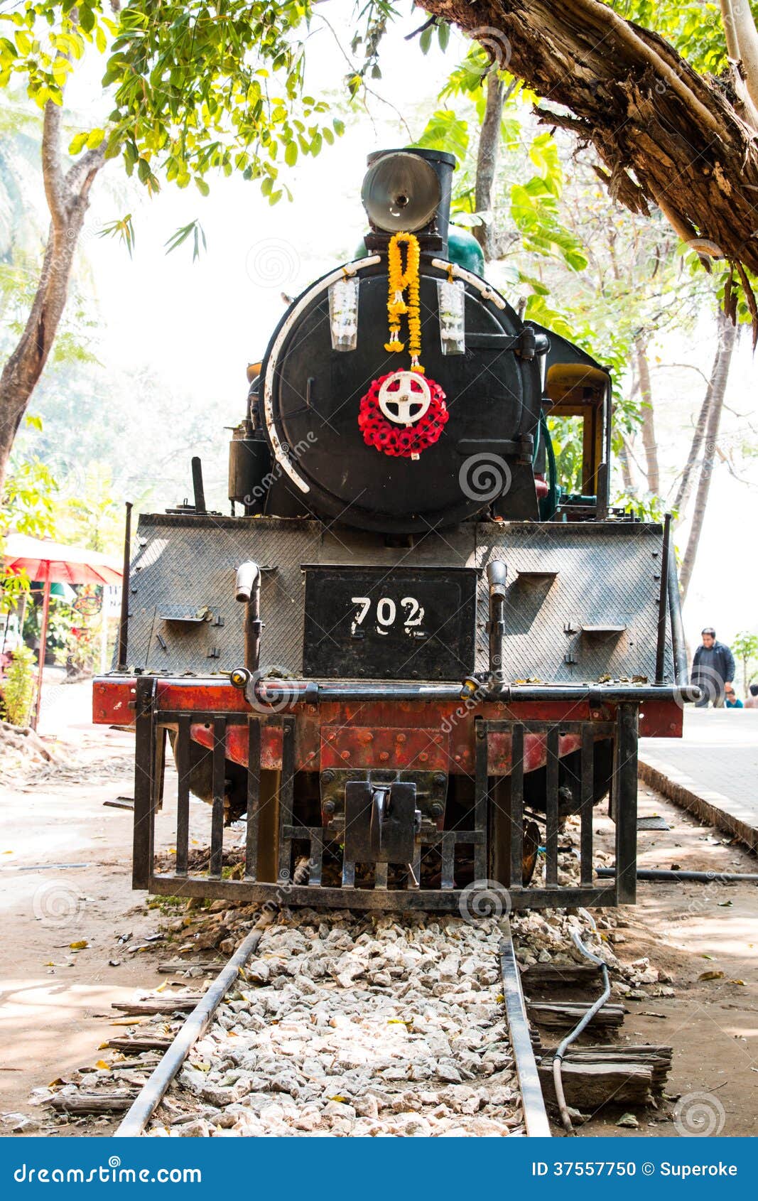 Stream train stock photo. Image of platform, cows, locomotive - 37557750