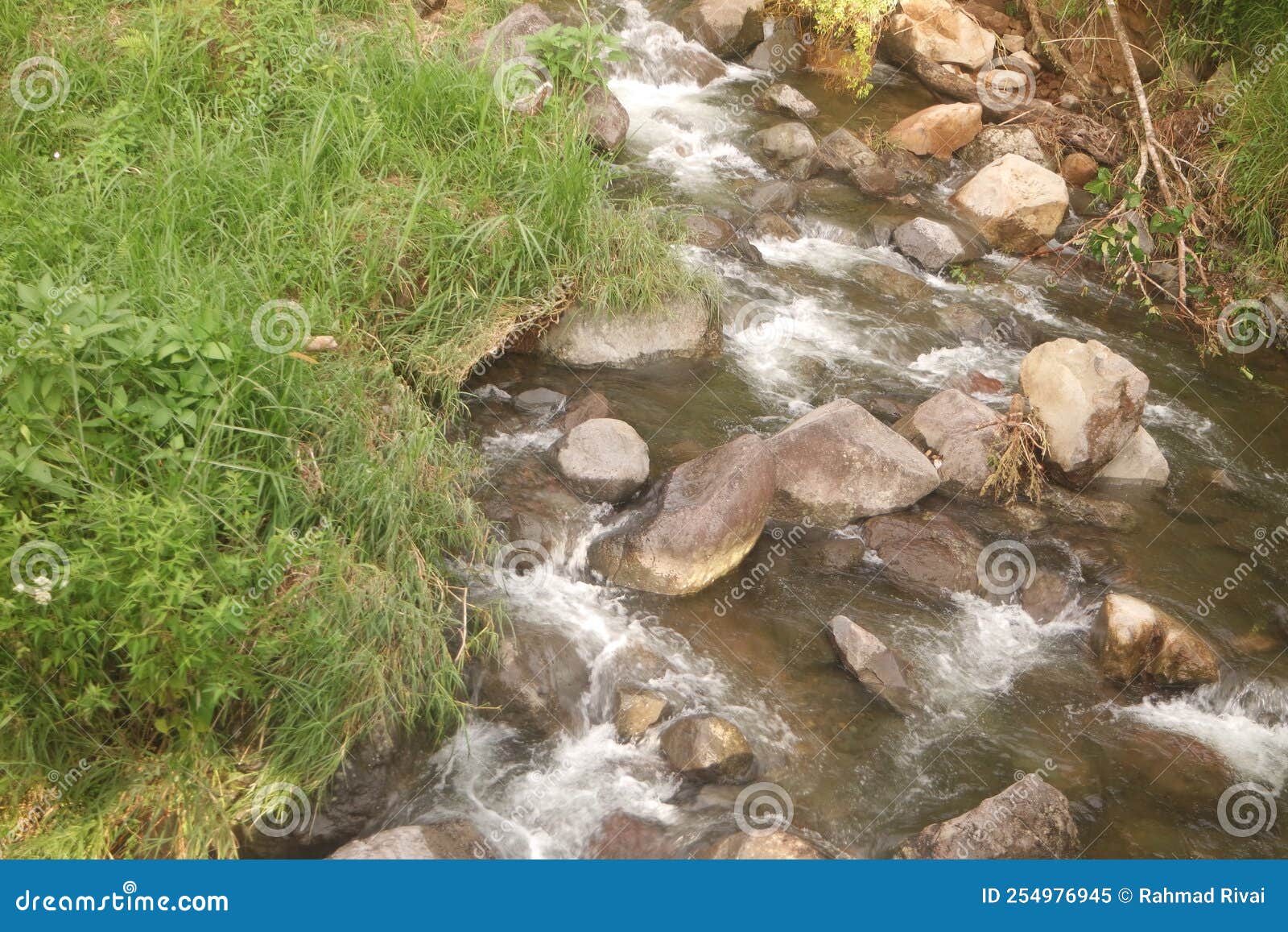 Stream in the Tropical Forest of Malalak Stock Image - Image of ravine ...