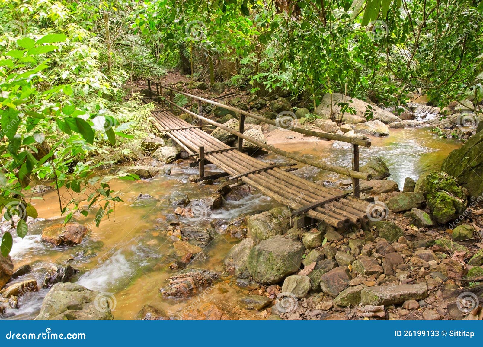 Stream in Tropical Rain Forests Stock Image - Image of flow, mountain ...
