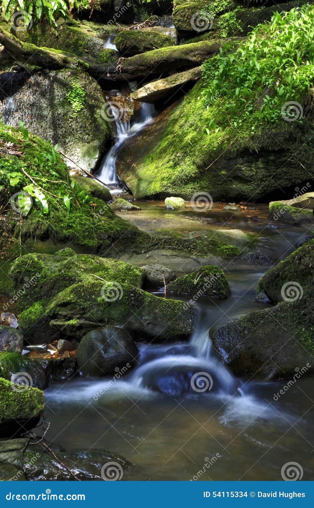 Stream Tumbling Over Moss and Rocks in a Small Beck Stock Photo - Image ...