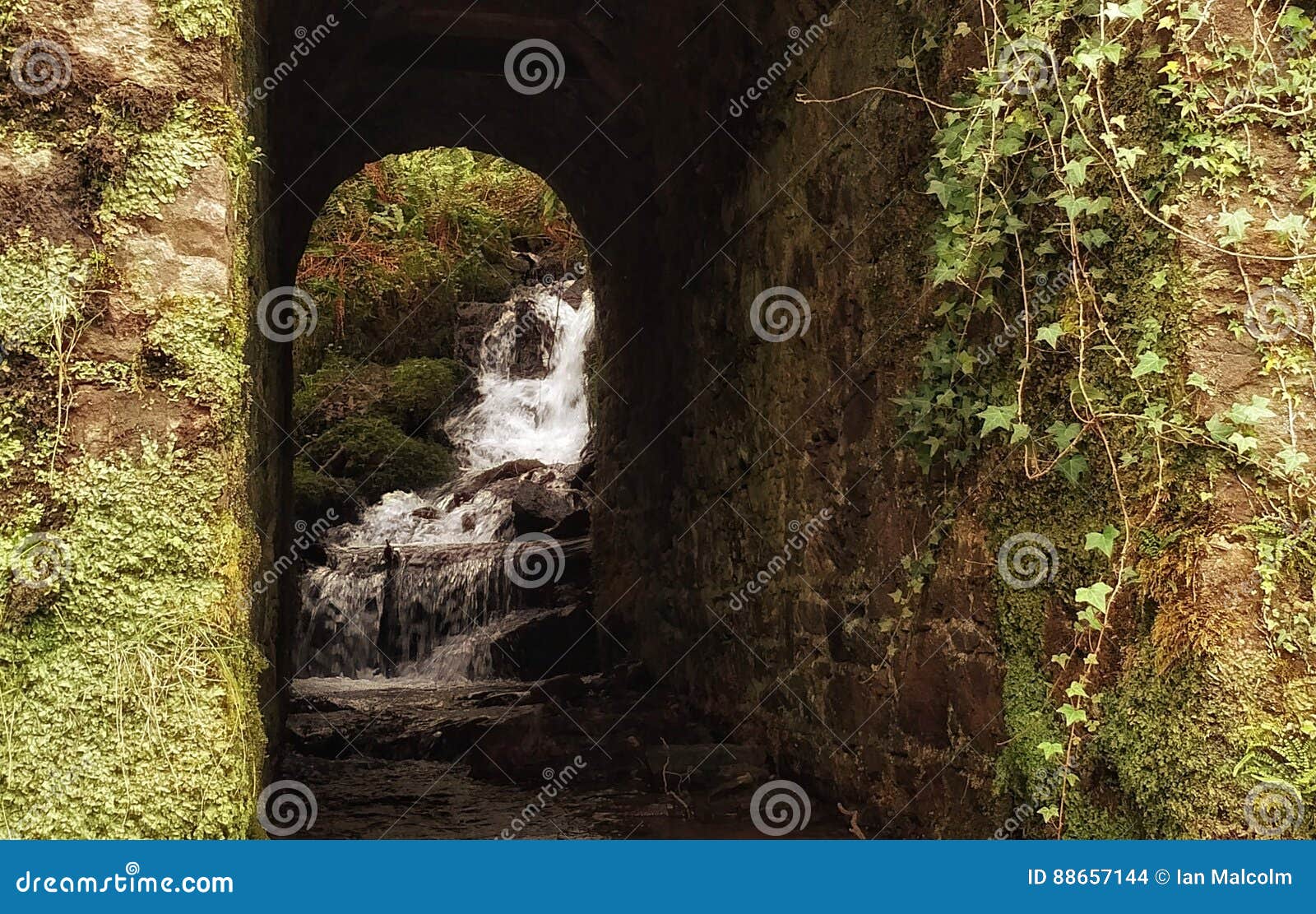 Stream and Tunnel, Glendine, Ireland Stock Photo - Image of tunnel ...