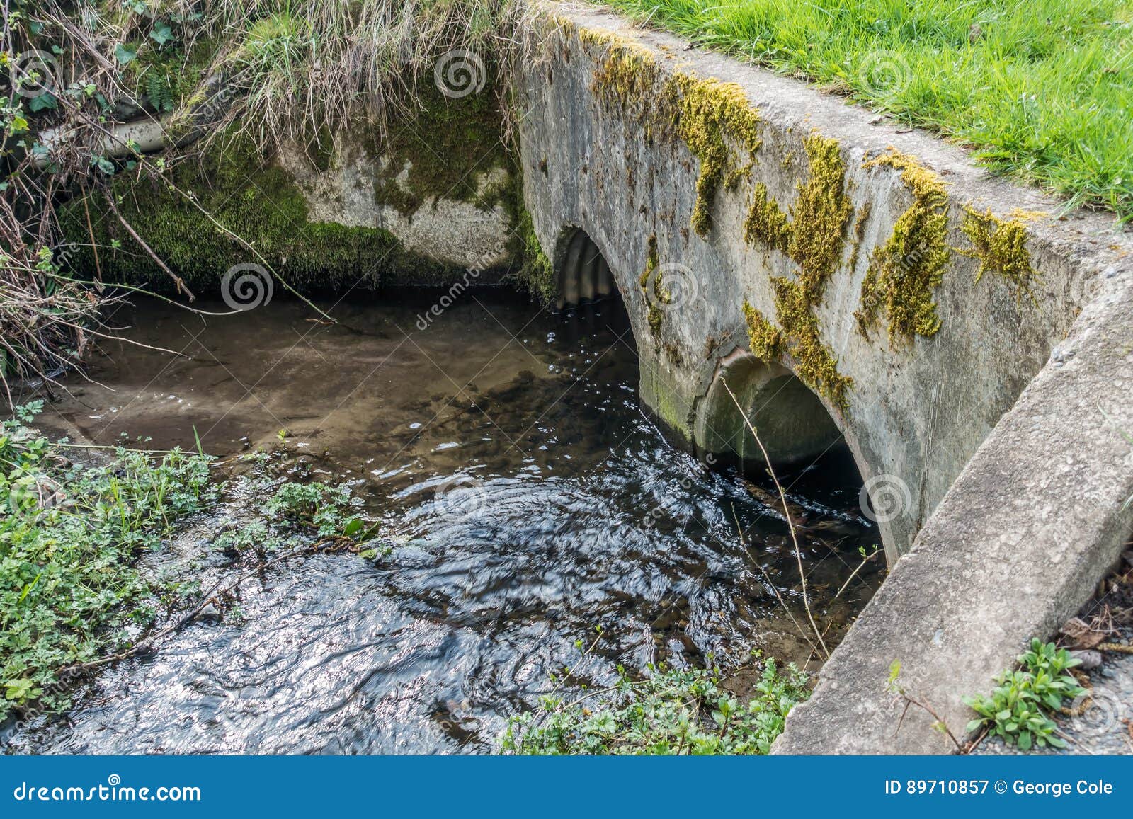 Stream Under Culvert stock image. Image of brook, washington - 89710857