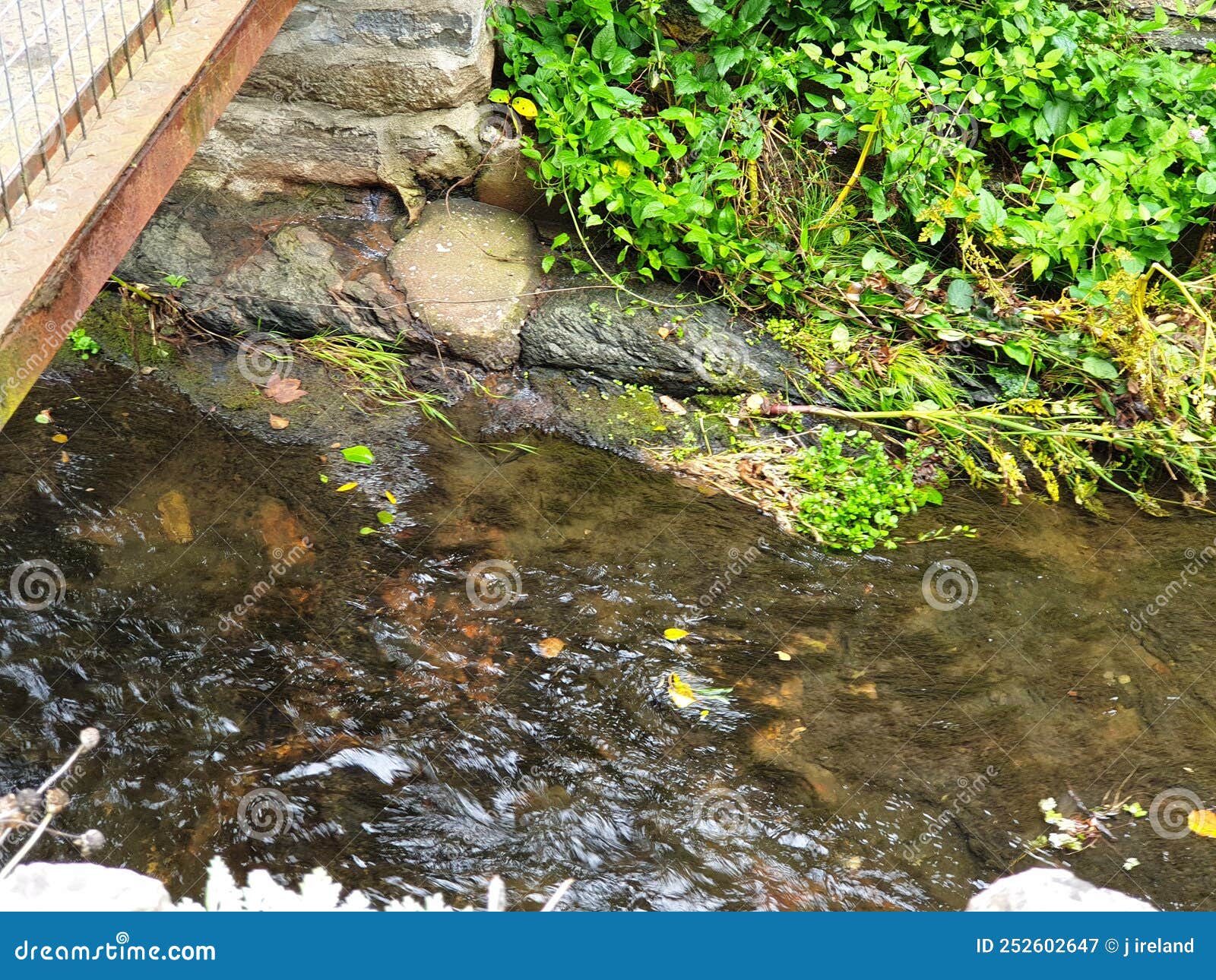 Stream Under a Garden Bridge Stock Image - Image of tree, soil: 252602647