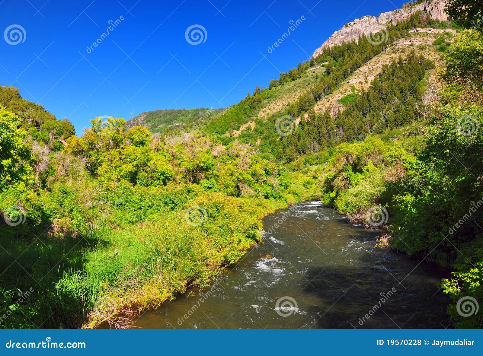 Stream in a valley stock photo. Image of destination - 19570228
