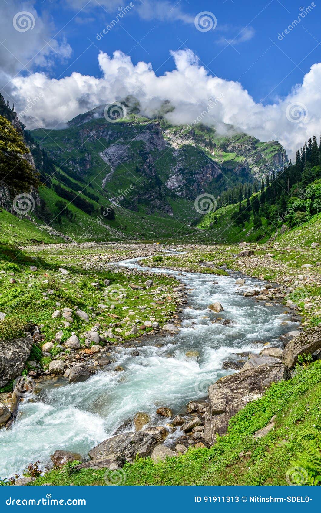 The Stream in the Valley - Rani Nallah Stock Image - Image of landscape ...