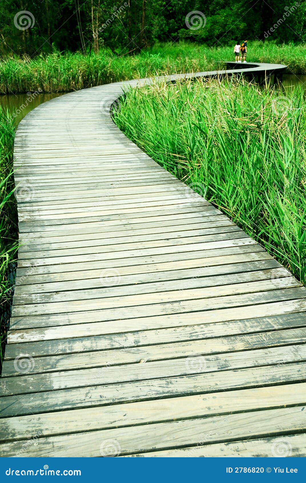 Stream Walk stock photo. Image of bridge, boardwalk, hongkong - 2786820