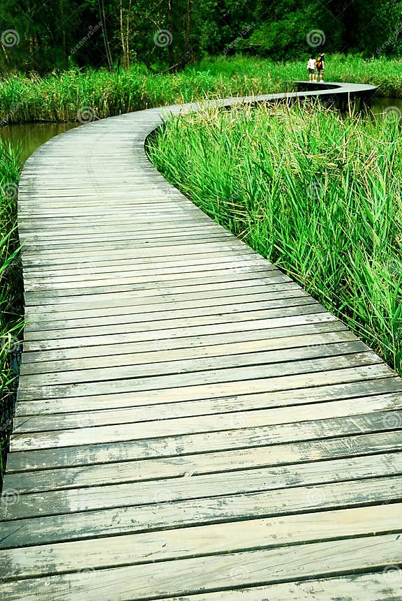 Stream Walk stock photo. Image of bridge, boardwalk, hongkong - 2786820