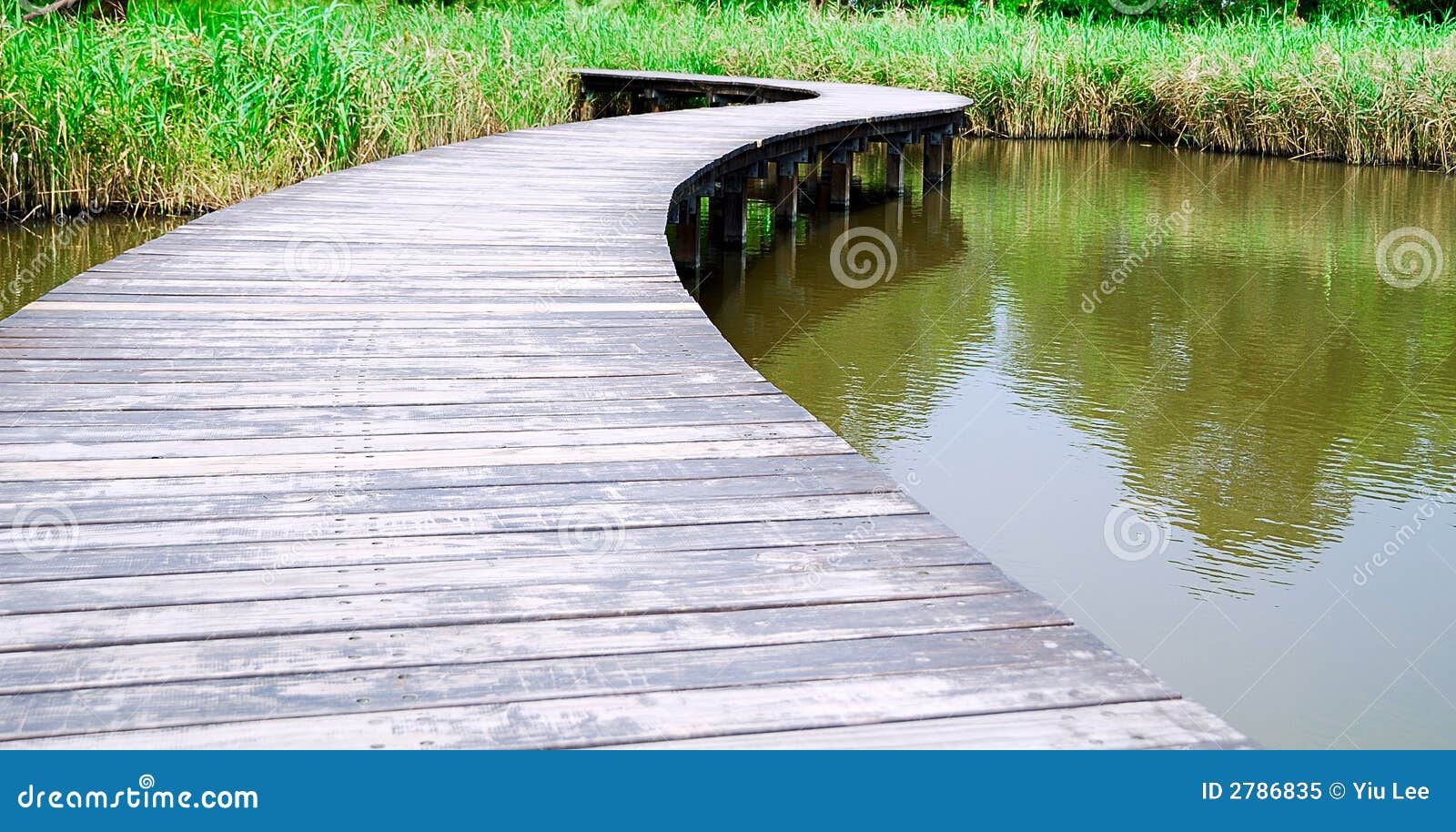 Stream Walk stock image. Image of walkway, bridge, stream - 2786835