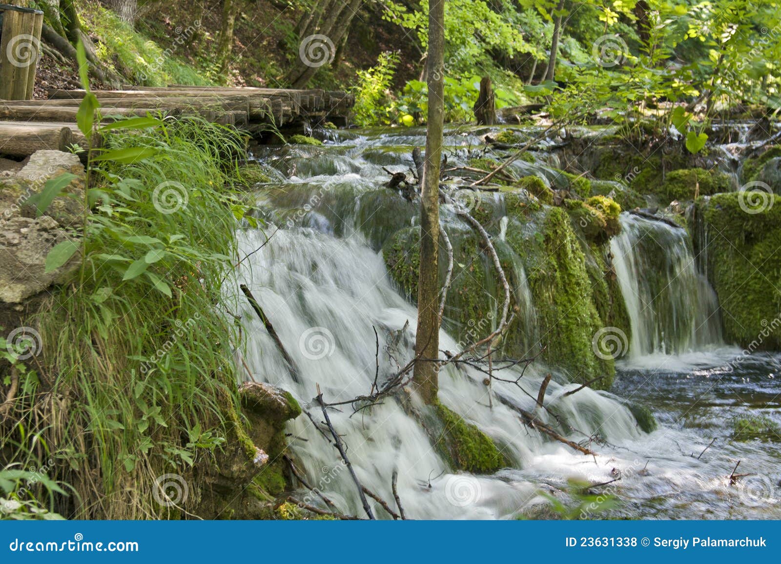 Stream and walk pathway stock photo. Image of national - 23631338