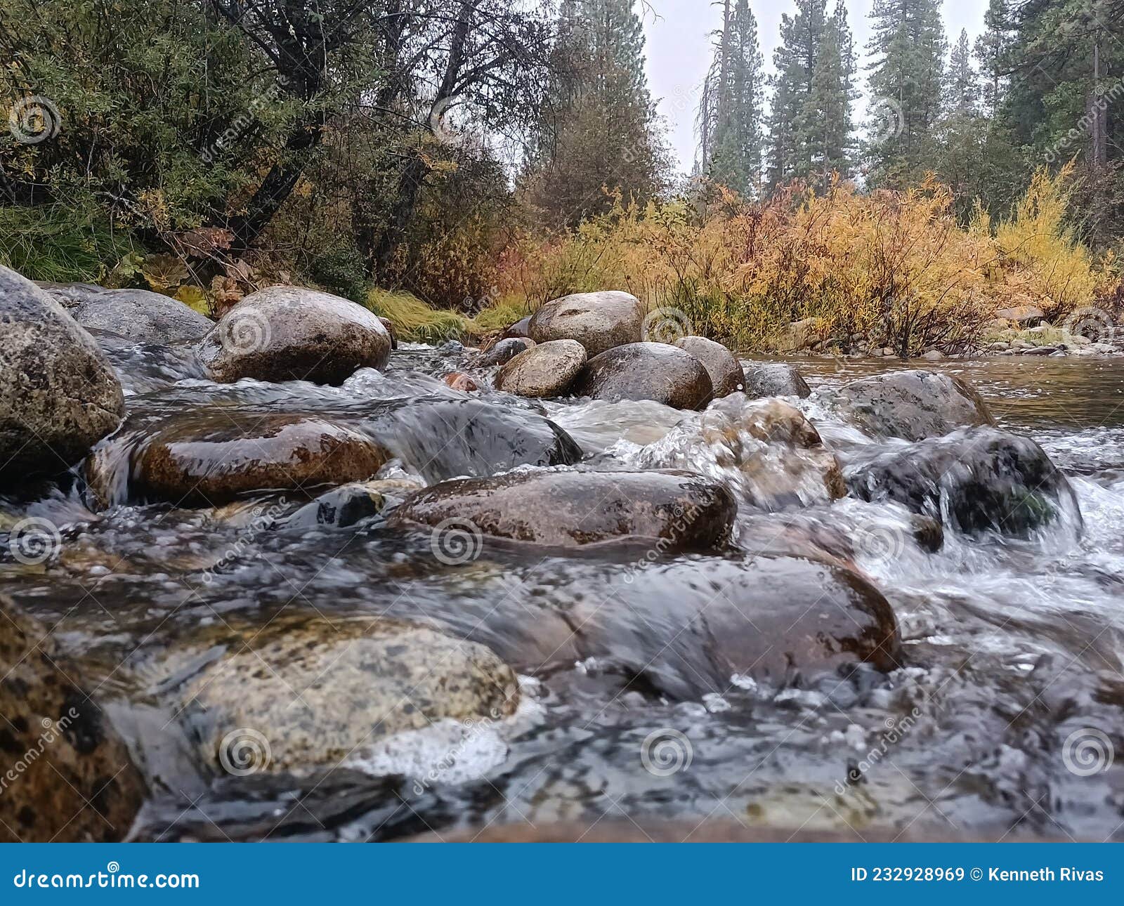 This stream was amazing stock image. Image of water - 232928969
