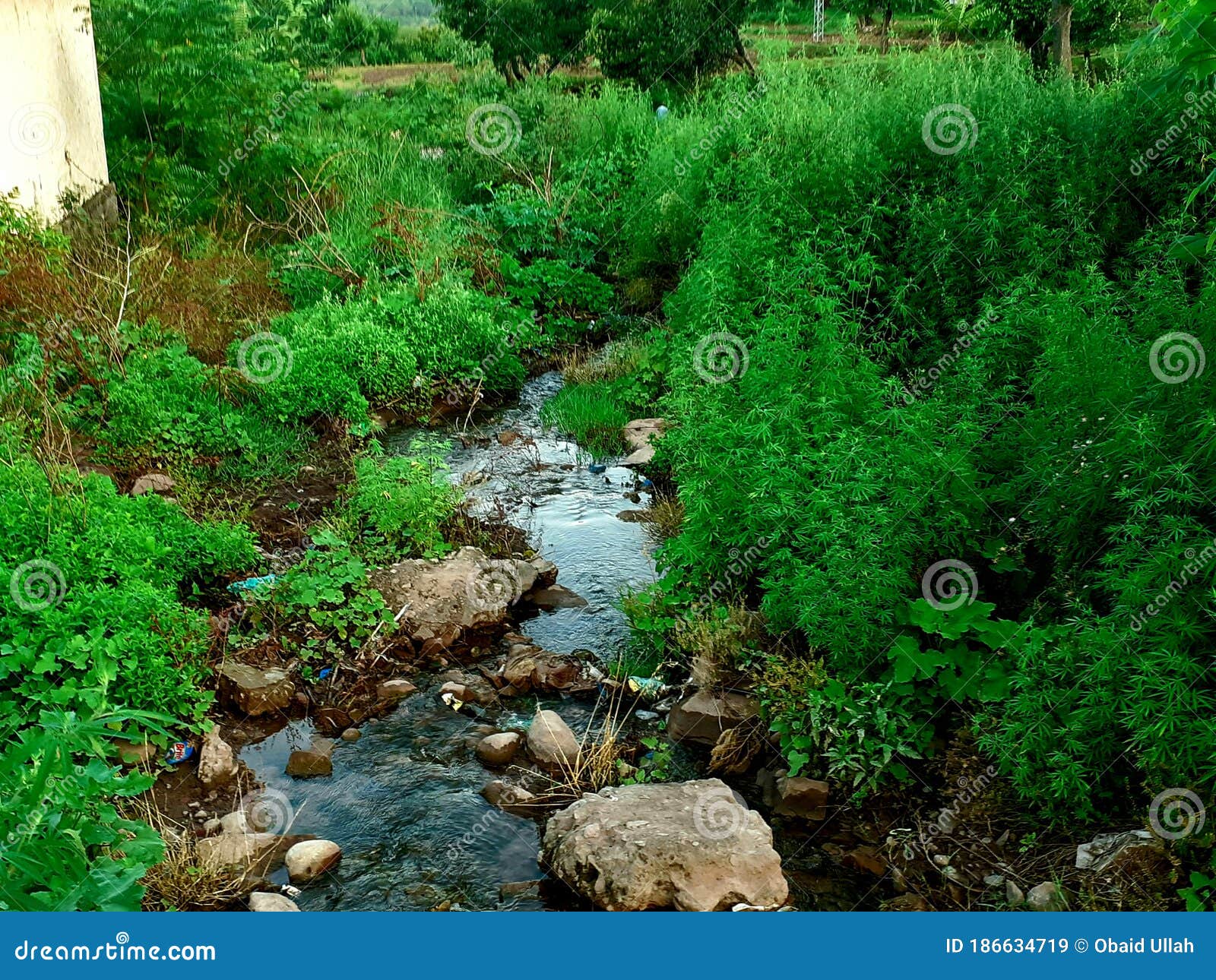 Stream Water Coming Down in Valley Stock Image - Image of water, valley ...