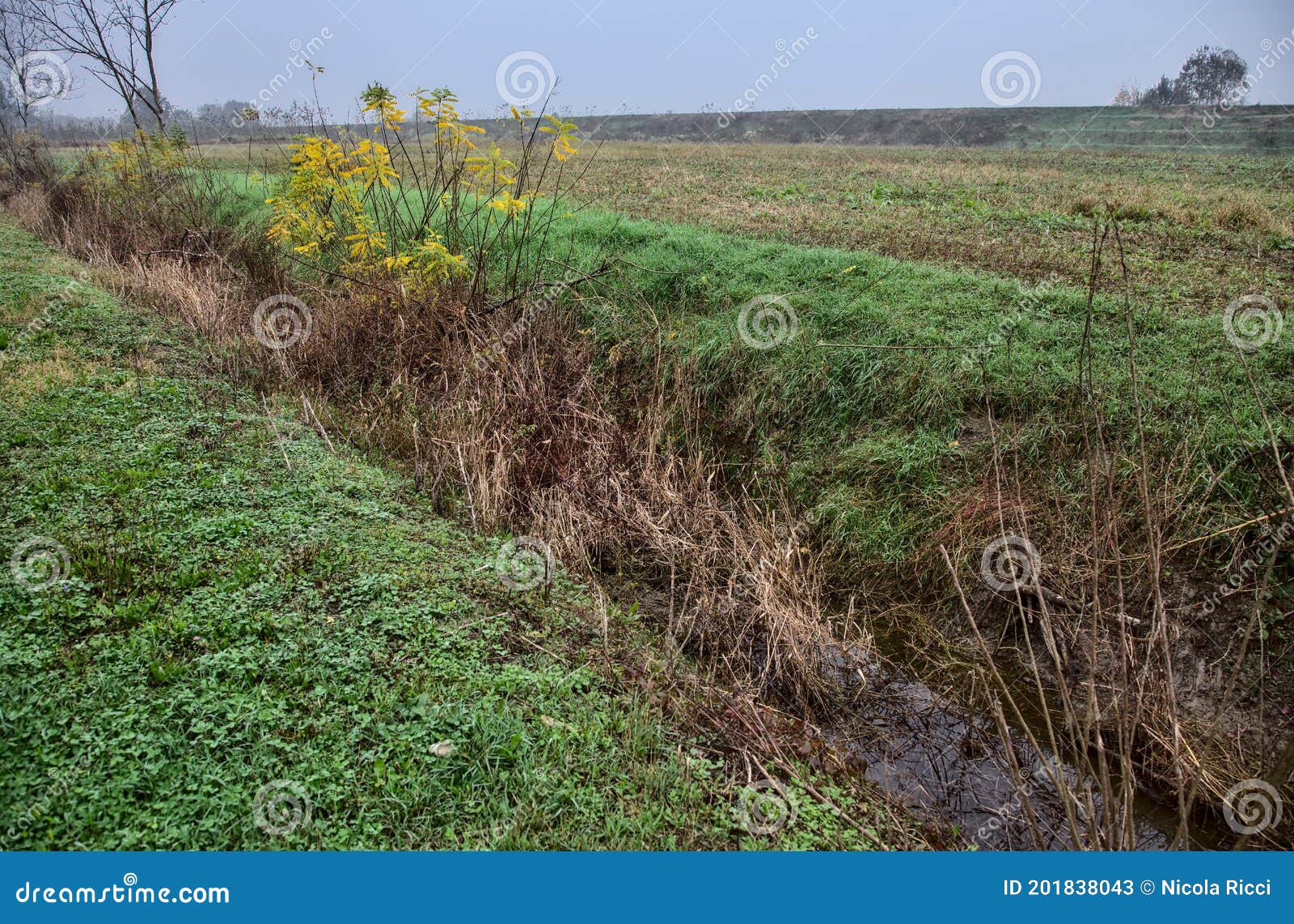 Stream of Water in the Countryside in Autumn Stock Image - Image of ...
