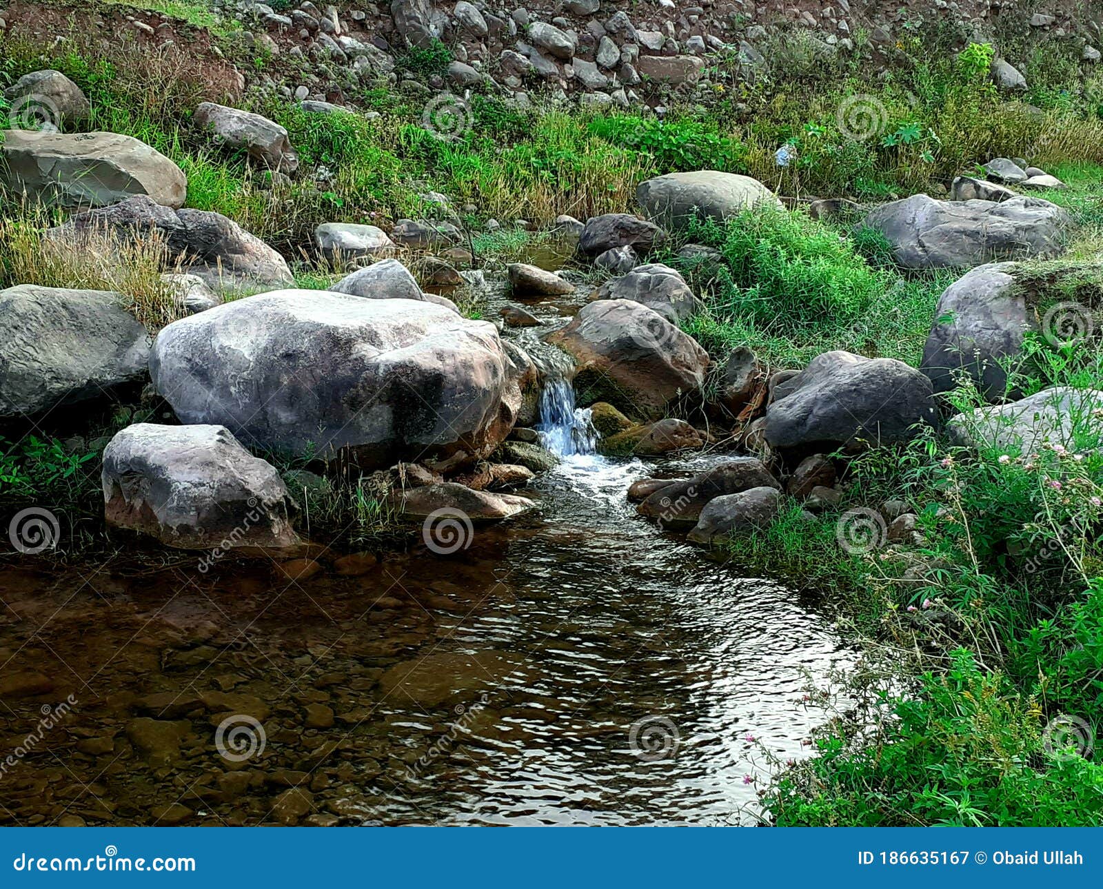 Stream Water Flowing from Upwards To Downwards Stock Image - Image of ...