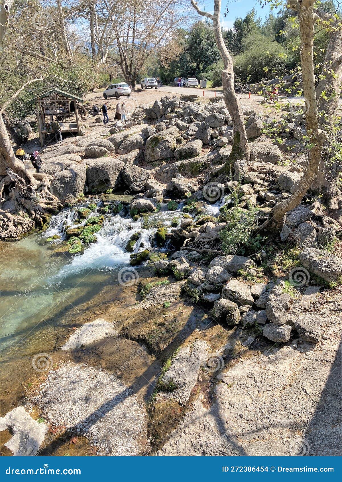 The Stream of Water Flows through Large Stones and Forms a Small ...