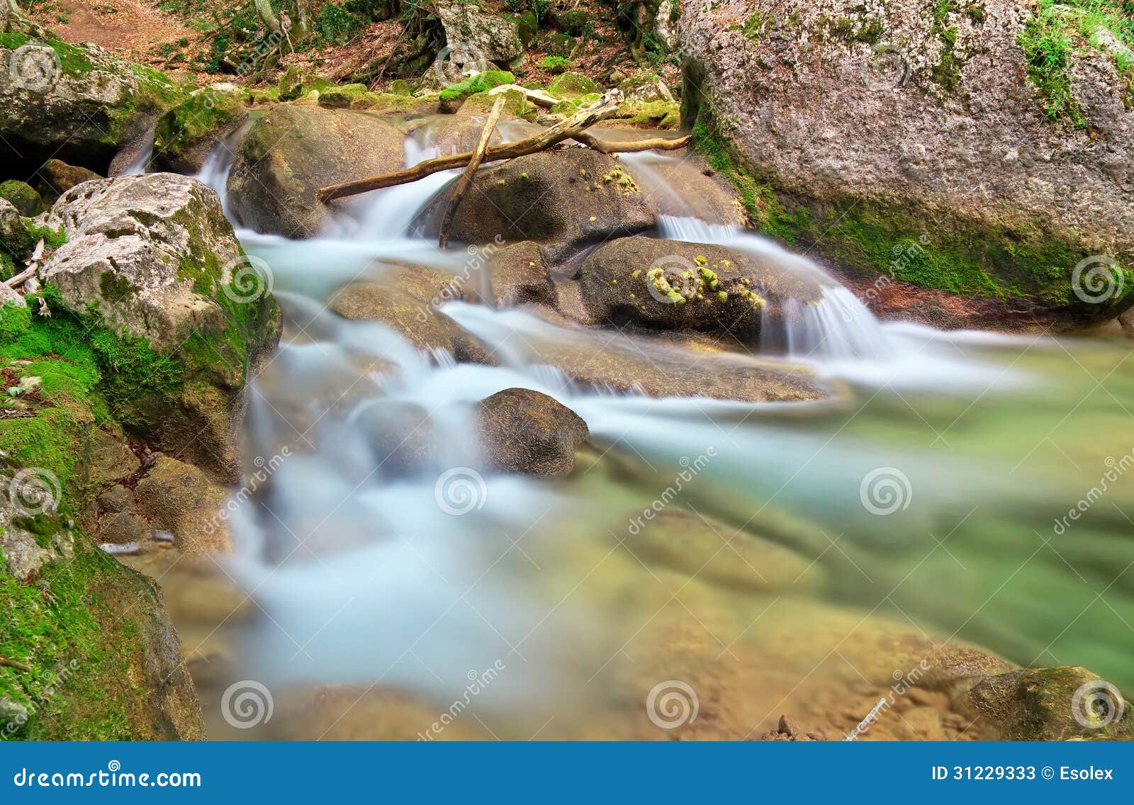 A Stream of Water in Forest and Mountain Terrain Stock Image - Image of ...