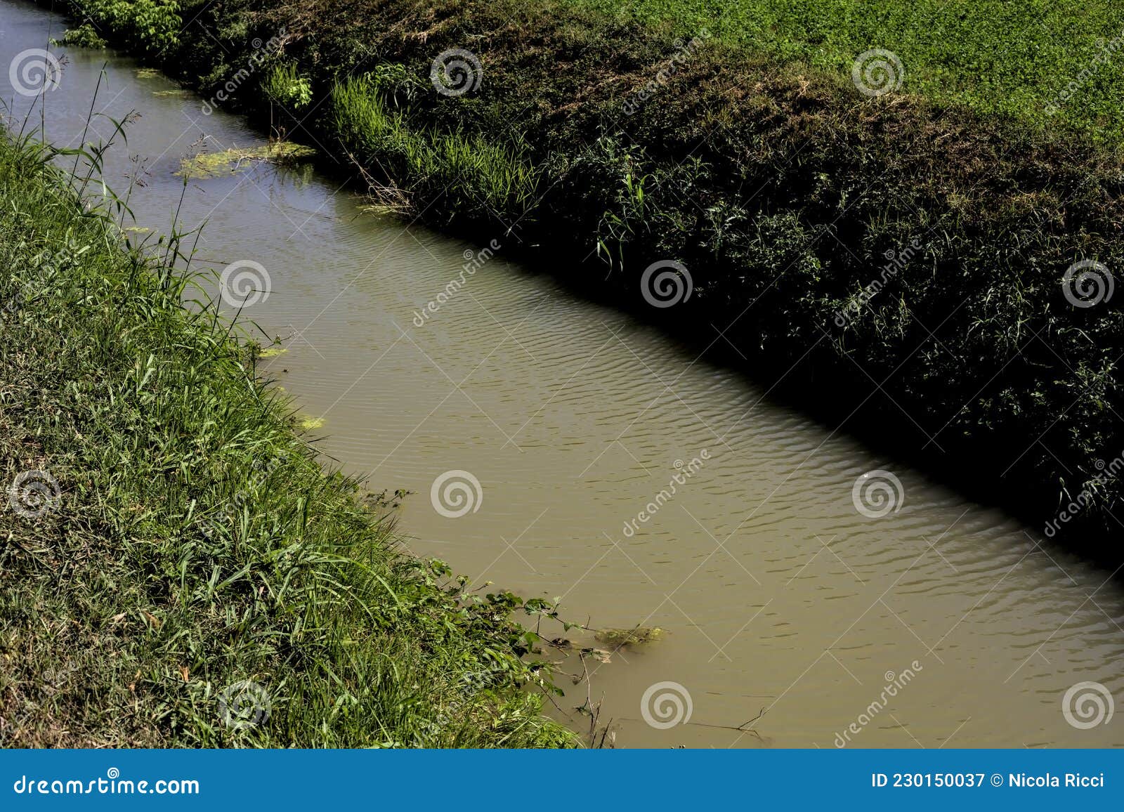 Stream of Water with Grassy Edge Stock Image - Image of clean, pond ...